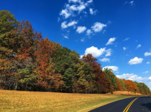 Fall Foliage on the Scenic Natchez Trace Parkway