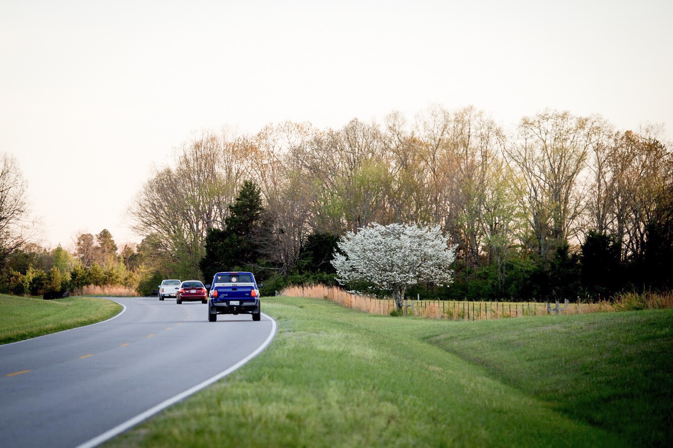 Where to See Spring Wildflowers on the Natchez Trace Parkway