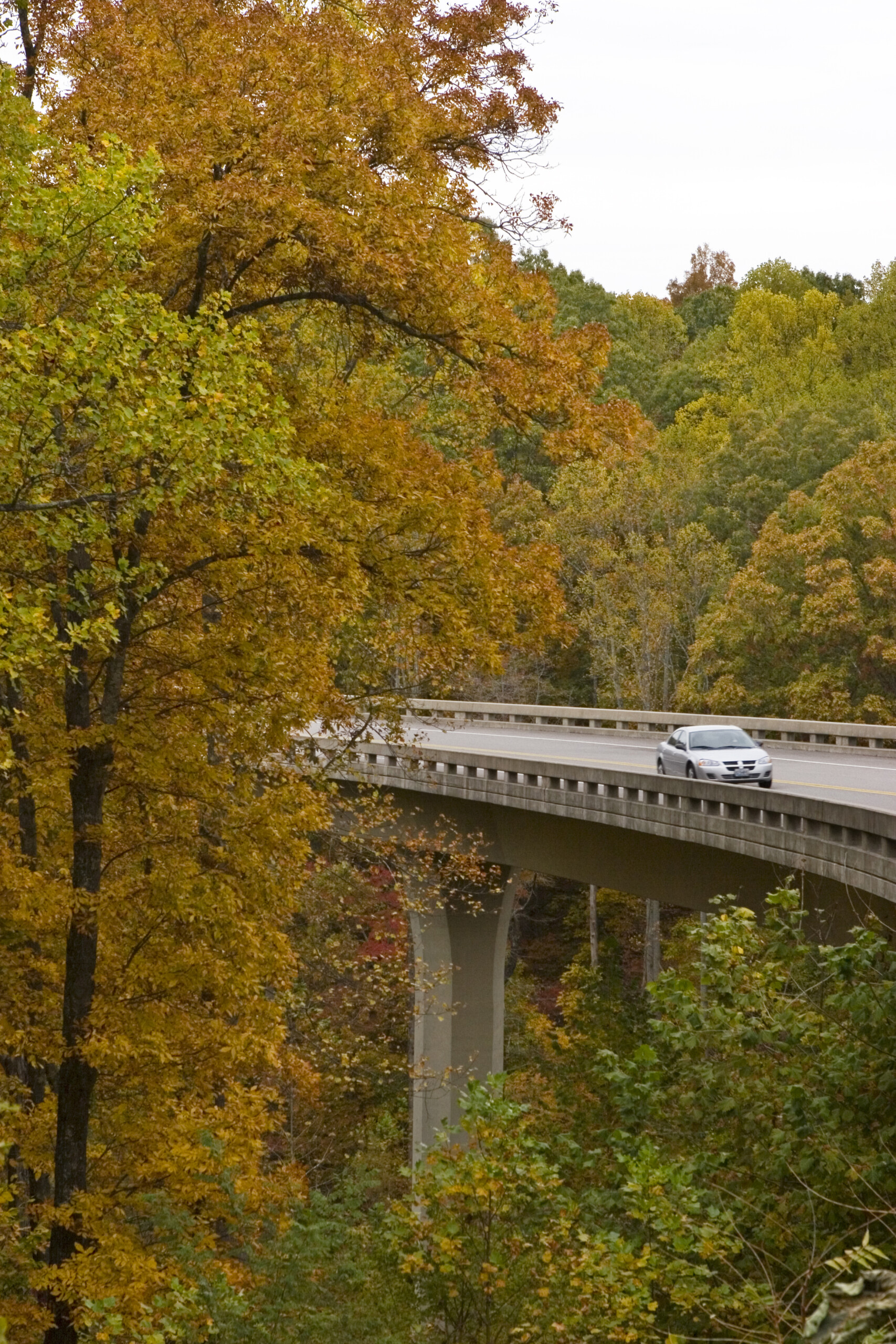 Fall Foliage, Camping and Hiking on the Natchez Trace Parkway - Natchez ...