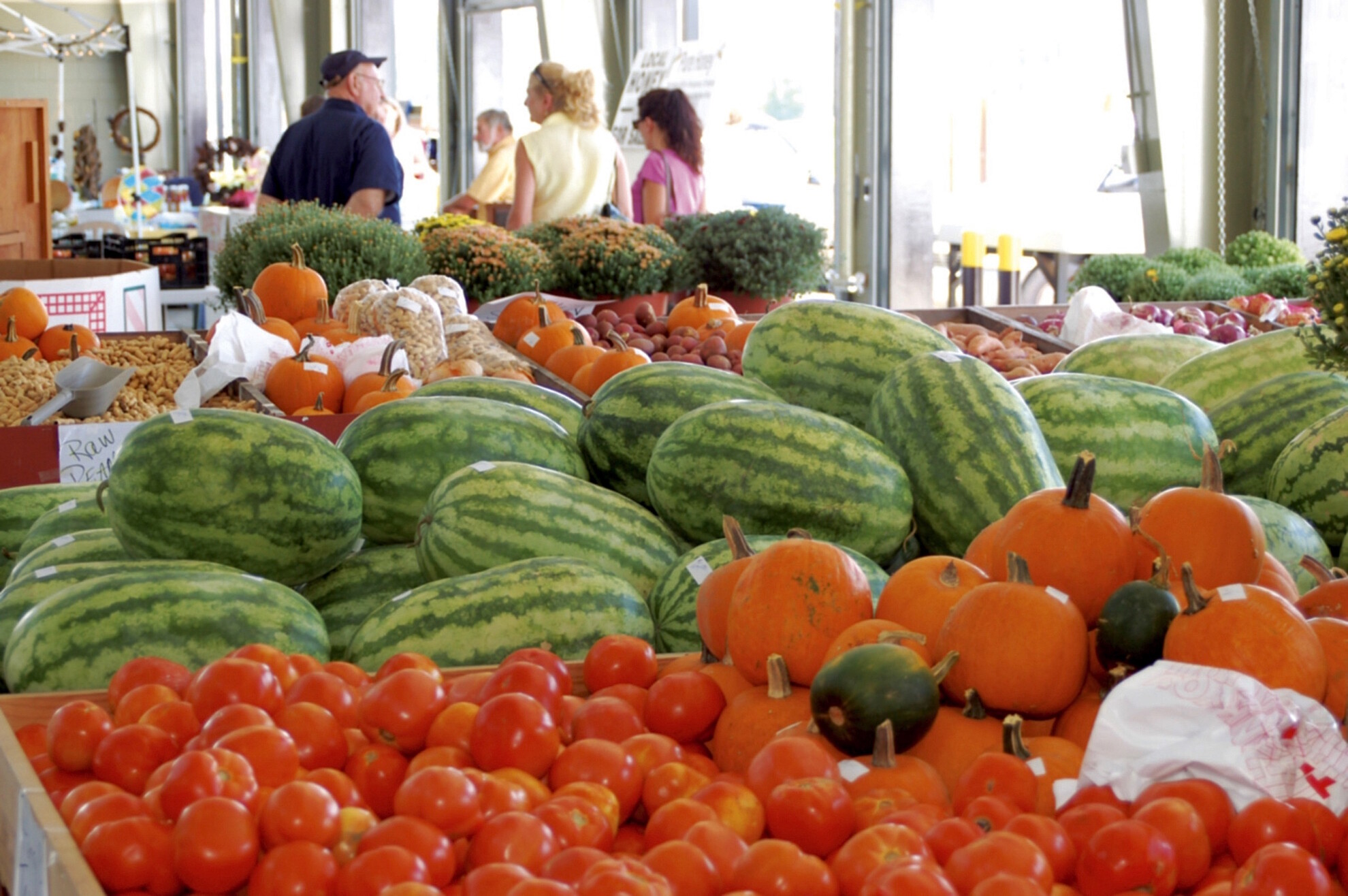 Fresh Finds & Local Flavor: Farmers Markets Along the Natchez Trace ...