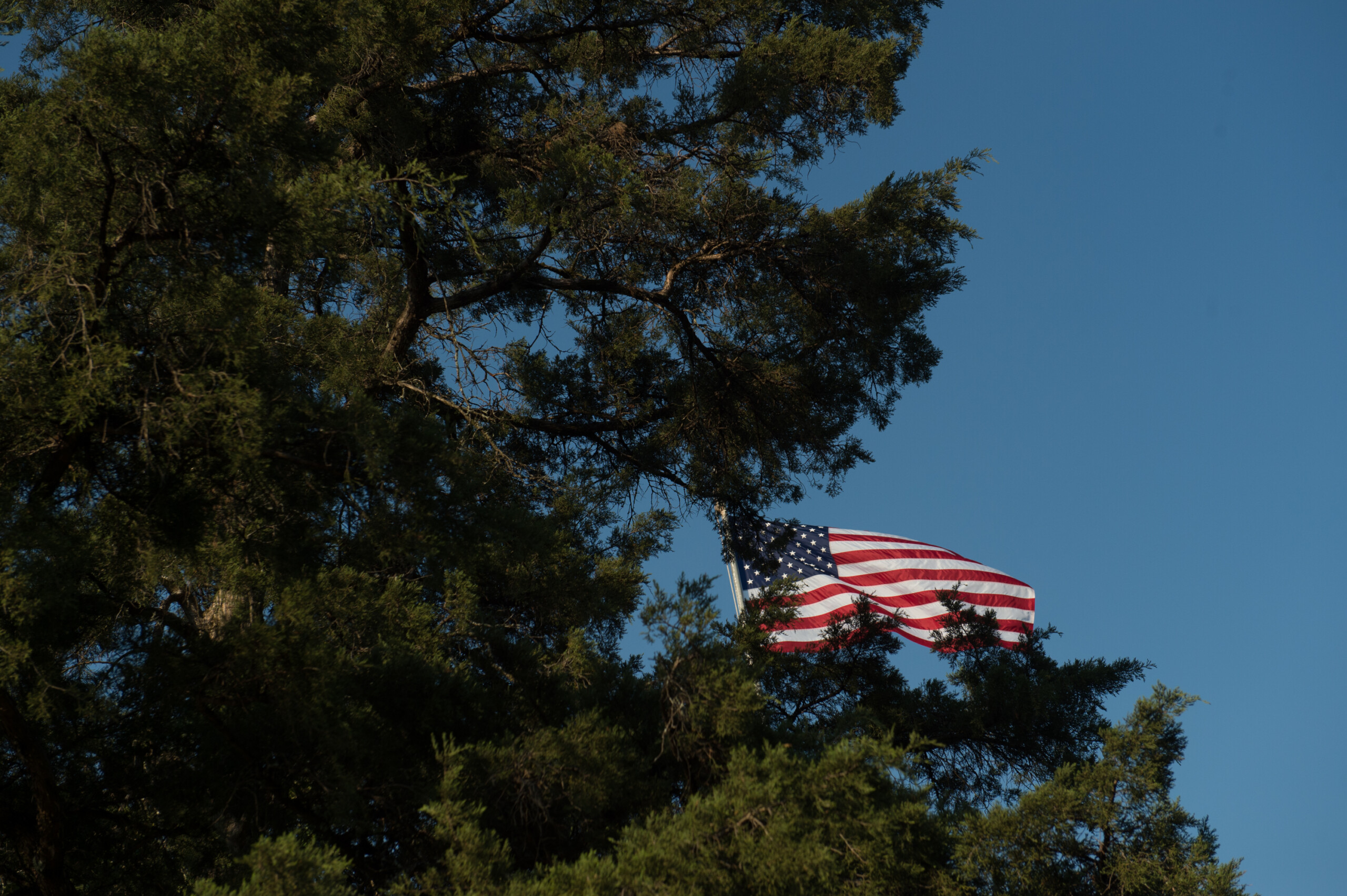 The Natchez Trace Parkway: Telling America’s Story as the Nation Turns ...