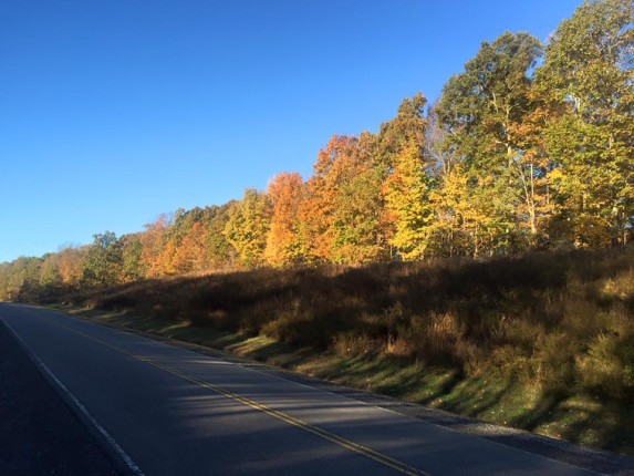 Fall Foliage on the Scenic Natchez Trace Parkway